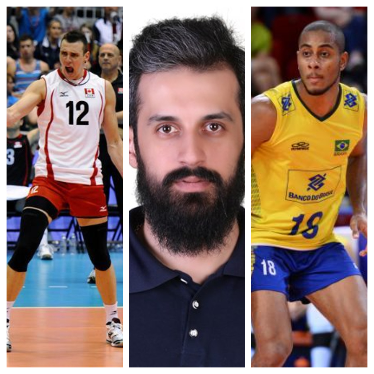 Top 10 Des Meilleurs Joueurs De Volleyball Liste 2021 Mise Jour 